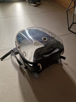 Trasportino cane o gatto