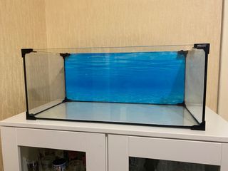 Acquario/tartarughiera con griglia di protezione