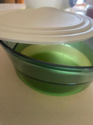 Ciotola per insalata