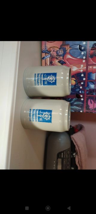 Boccali birra Augustiner in ceramica