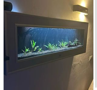 acquario Quadro