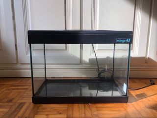 Acquario grande per pesci con accessori