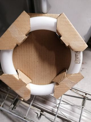 Lampade neon circolari