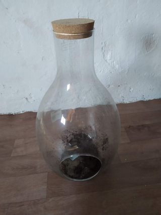 Terrarium , vaso per composizioni