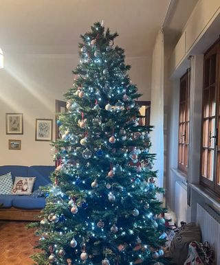 Albero di natale 270 cm usato un solo anno