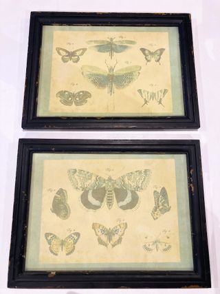 Coppia quadri farfalle shabby chic 40x30 cm