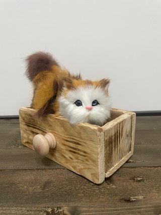 Decorazione gatto realistico cassetto -Handmade