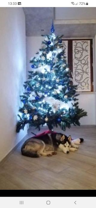 Albero di natale 2 metri