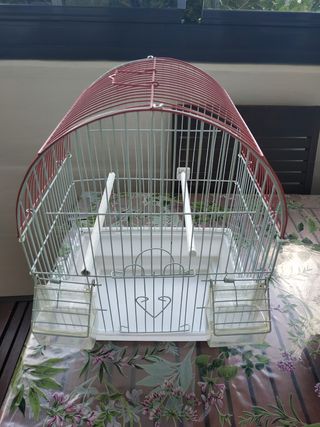 Gabbia per uccelli 🐦