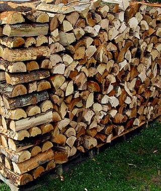 Legna da ardere - Primavera 2024