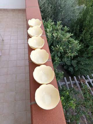 Set 6 coppette in plastica made in Italy