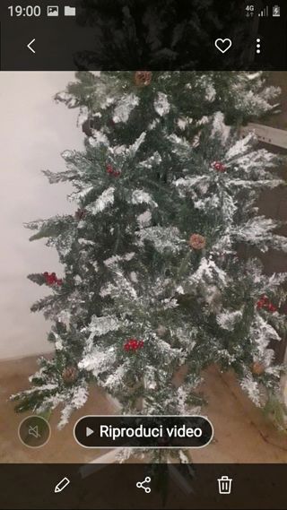 Albero di natale 2 m