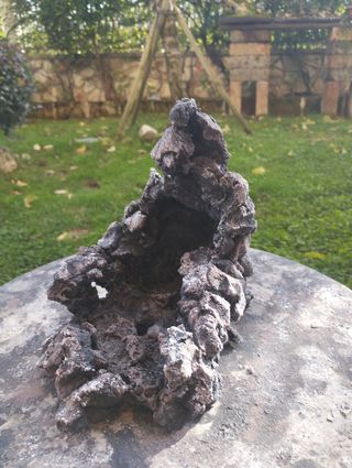 Vaso ishizuki bonsai