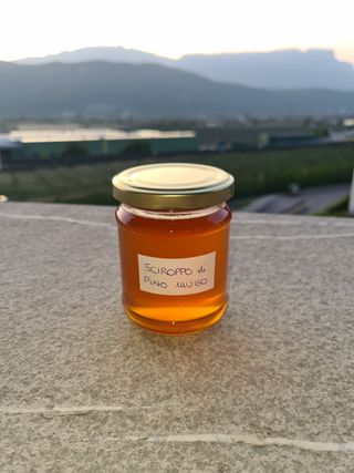 Sciroppo di pino mugo homemade