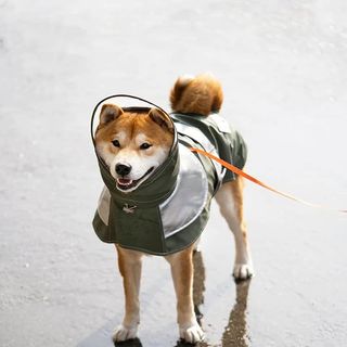 Impermeabile per Cani e Gatti con cappuccio NUOVO
