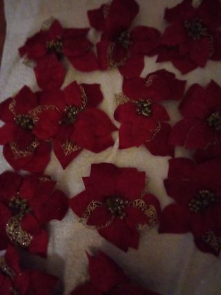 N 12 pezzi fiori di stella di natale