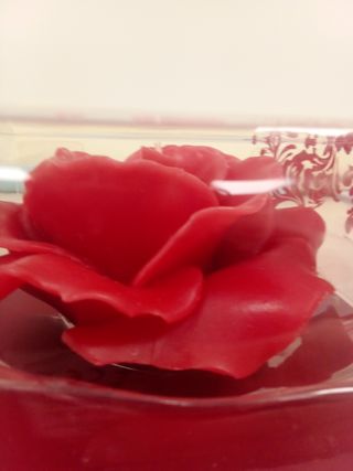 Candela rossa true rose Nuova