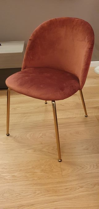 Poltrona sedia colore scoiattolo in velluto