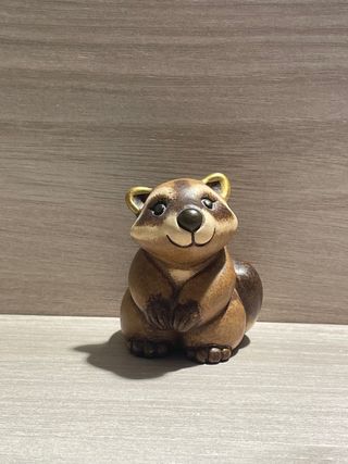 Procione Thun piccolo