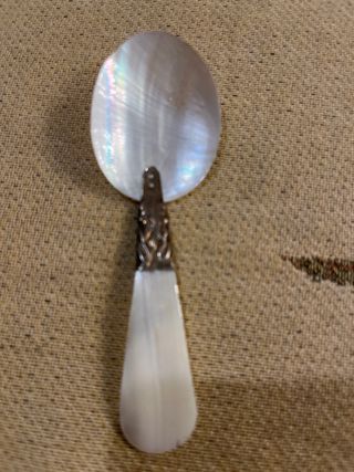 cucchiaino in madreperla