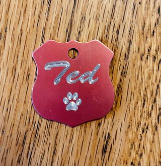 Targhetta incisa TED