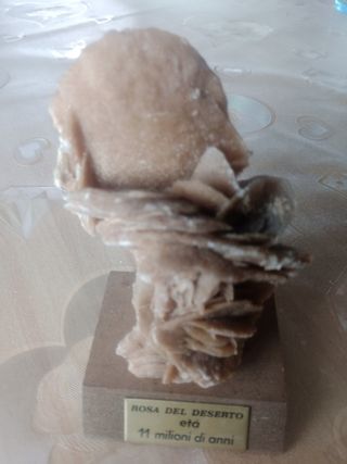 Rosa del deserto
