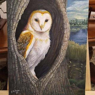 Disegni, Illustrazioni e Ritratti su commissione