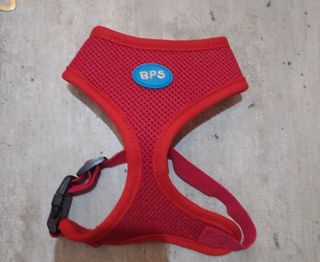 Pettorina per animali