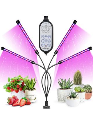 Lampada crescita piante