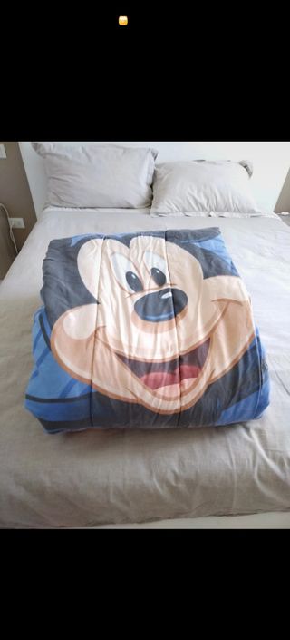Piumone invernale letto singolo