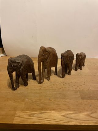 famiglia di elefanti