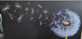 Quadro su tela Soffione 75x145 cm