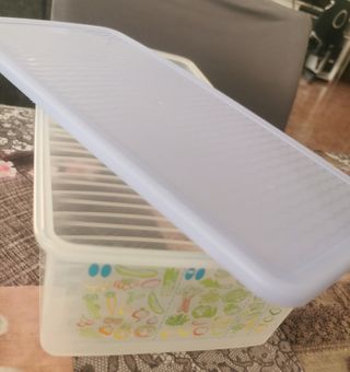 contenitore Tupperware 2lt
