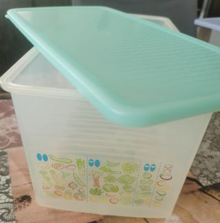 contenitore Tupperware 3,6 lt