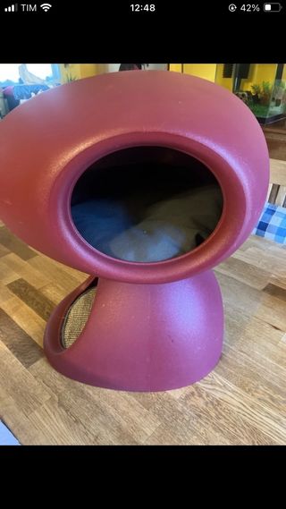 cuccia gatti queebo design