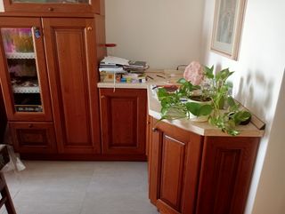 Vetrinetta e angolo dispensa in rovere