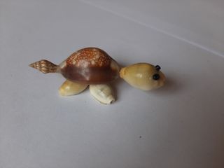 Tartaruga fatta di conchiglie
