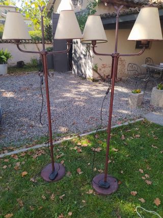 Coppia piantane con luci