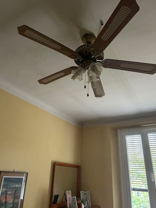 ventola da soffitto