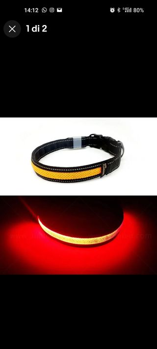 Collare luminoso per cani, ricaricabile