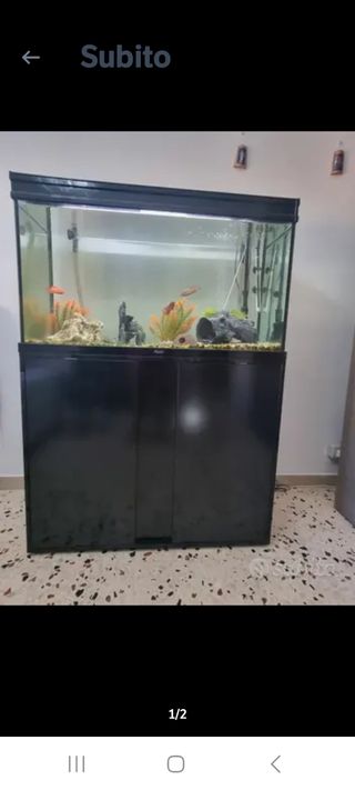 Acquario da 200litri