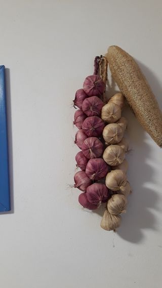 Artificiale grappolo da parete