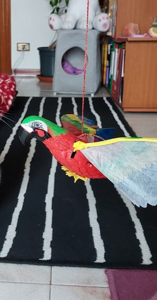 Gioco interattivo per gatti