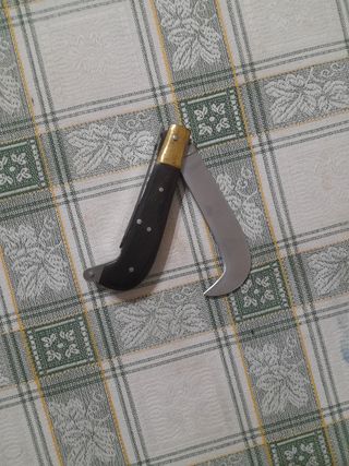 Coltello da innesto