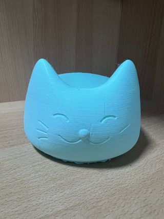 Gatto Verde Portaoggetti