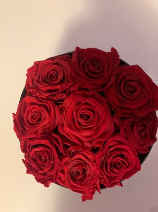 rose stabilizzate rosse