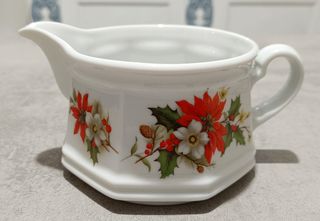 Salsiera di Natale