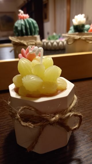 Candele cactu decorativ profumo magnolia