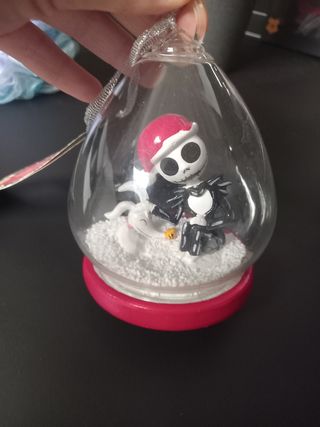 Ampolla natalizia Jack.