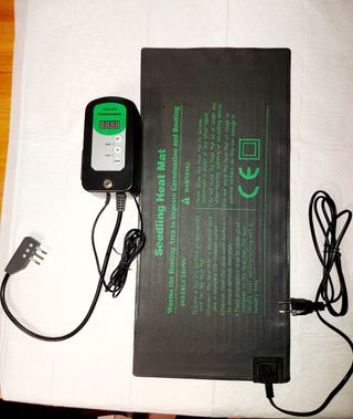 SEMINA INDOOR CON MINI SERRA